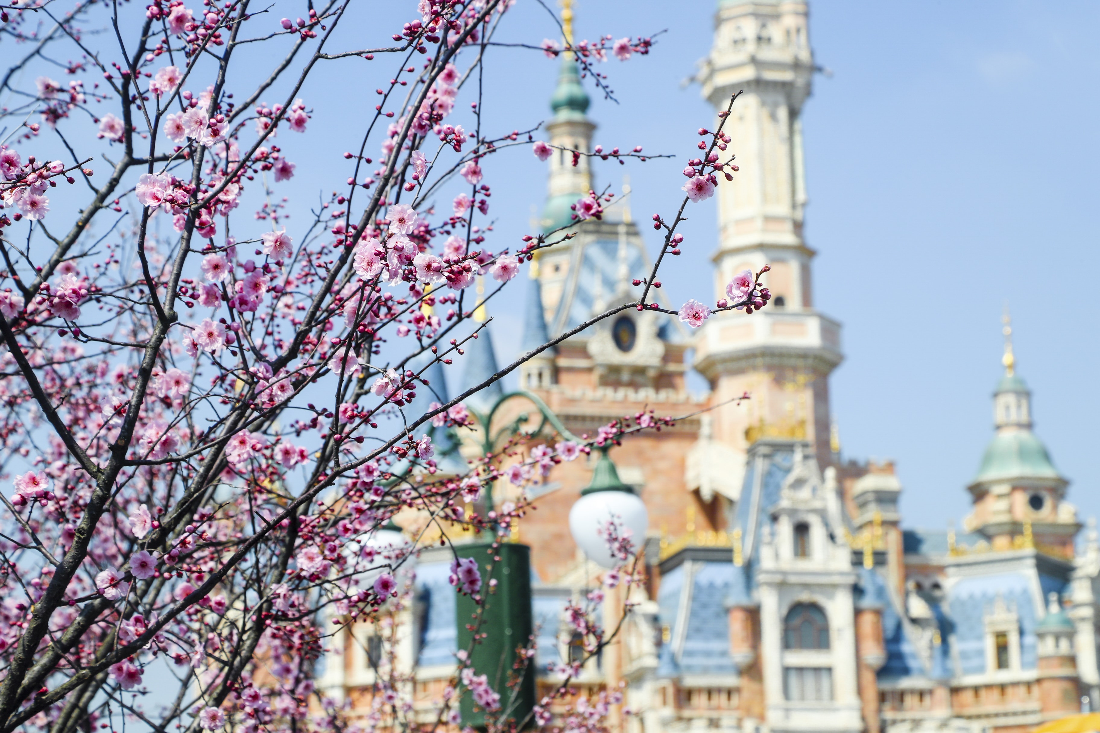 Shanghai Disney Resort Celebrates First Spring Season after Grand ...