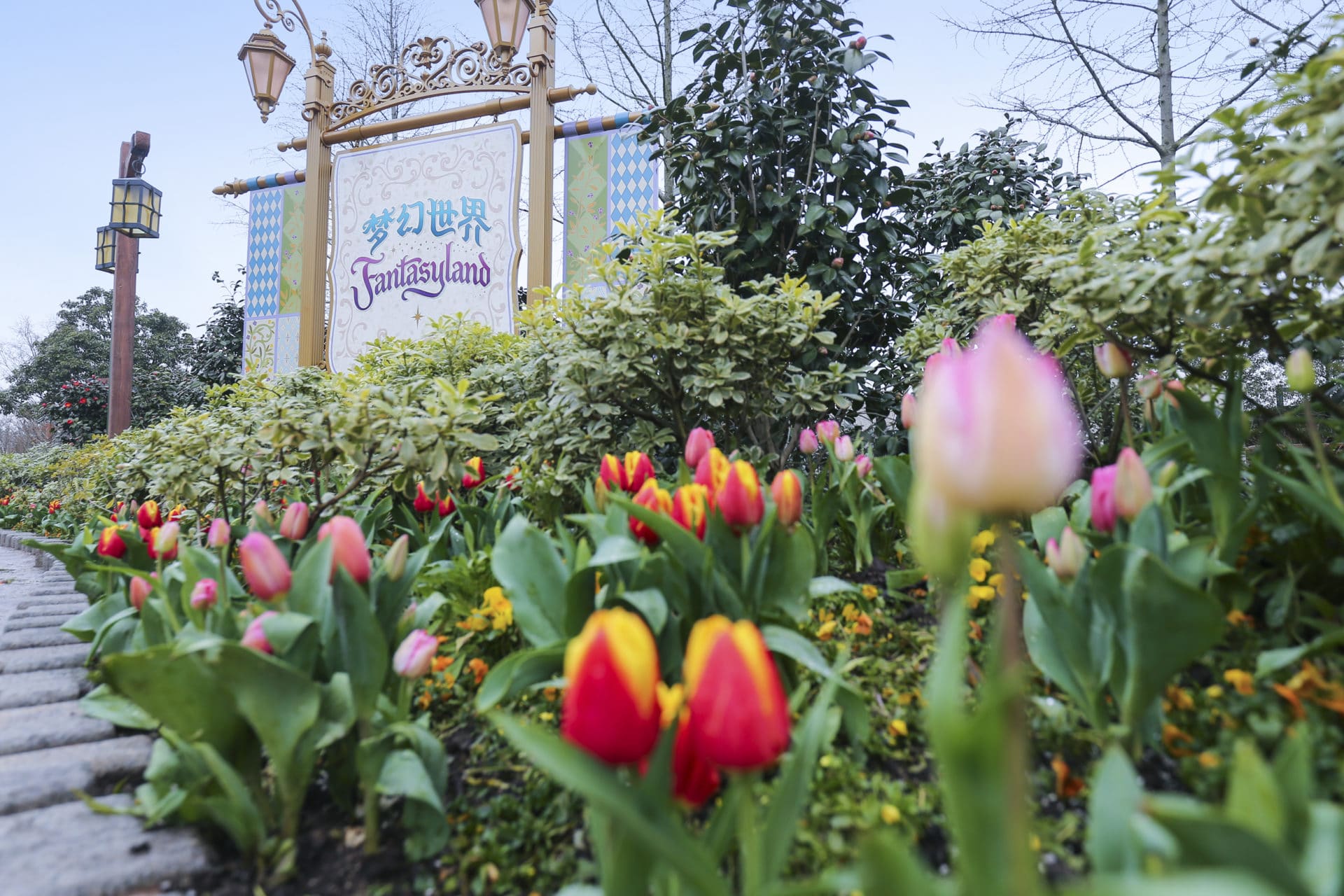 Shanghai Disneyland Celebrates Spring 2018 - Travel to the Magic